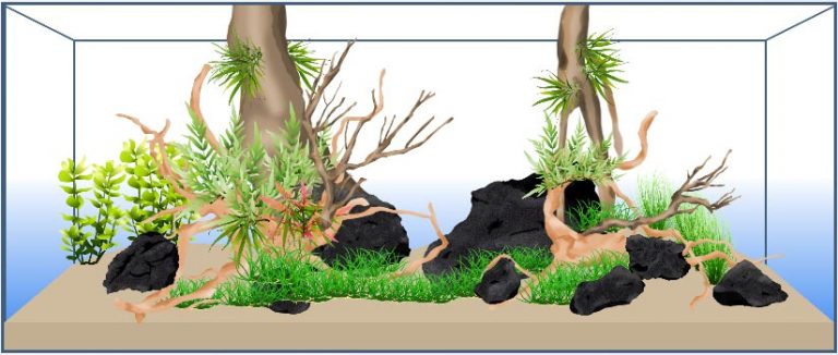 Scape It: der Aquascaping-Baukasten | Aquascapia