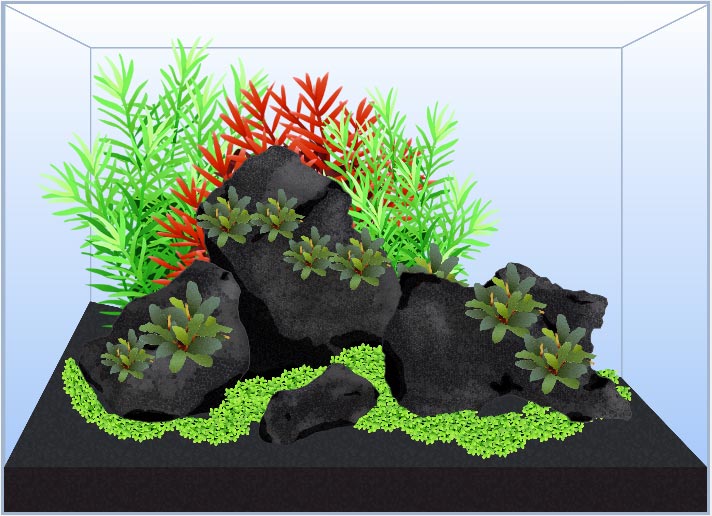 Scape It: der Aquascaping-Baukasten | Aquascapia